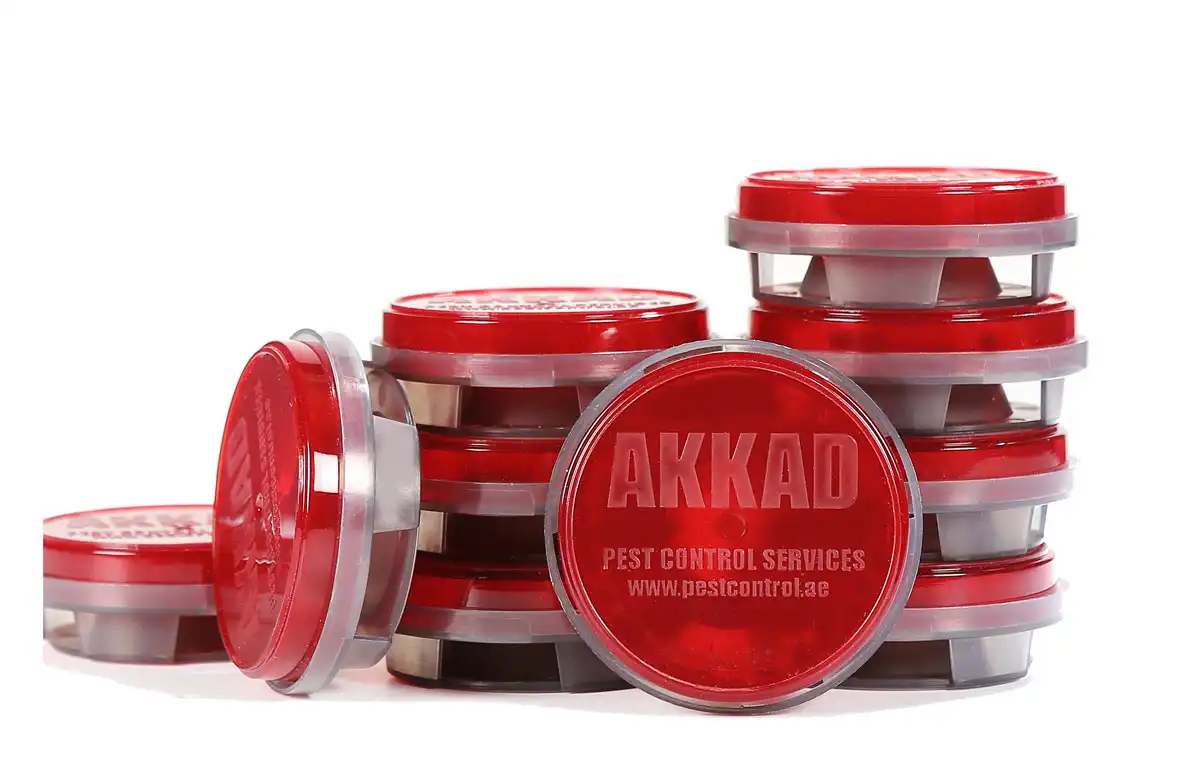 Pest Control Dubai: Expert Pest control Solutions Services In Dubai ...