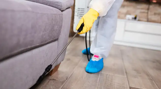 Pest Control Dubai: Expert Pest control Solutions Services In Dubai ...